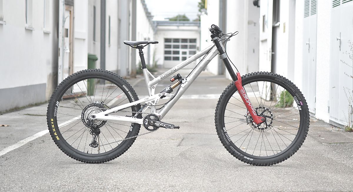 Bike der Woche #2 - Reichmann Engineering RIP von IBC-User "ride-fx"