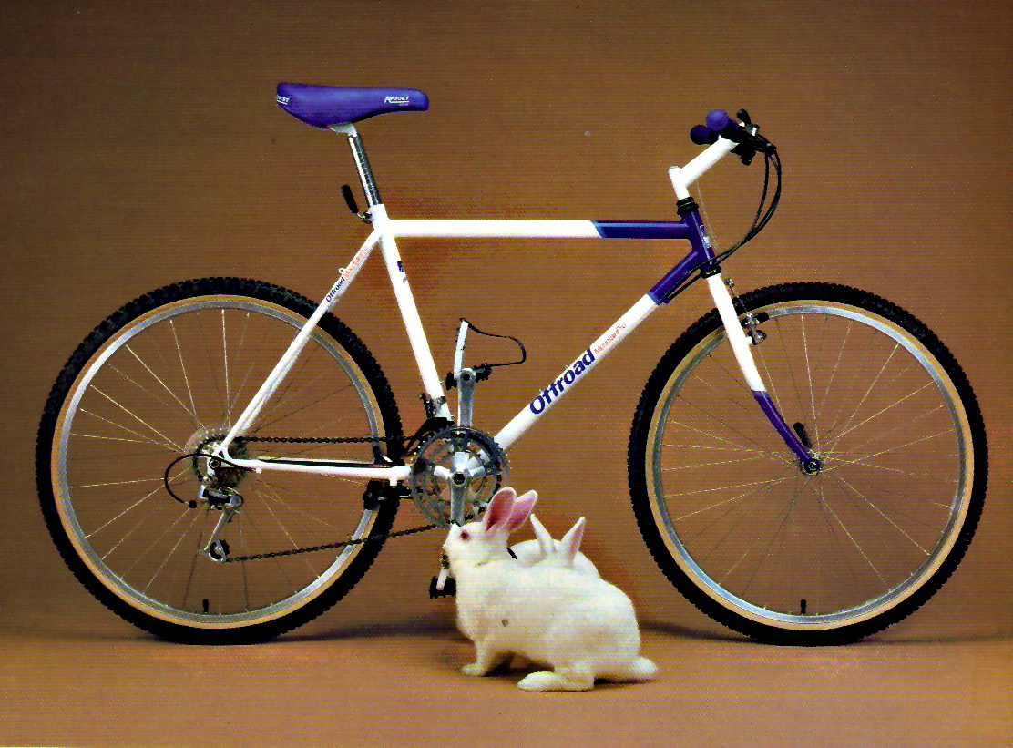 OFFROAD PROFLEX GIRVIN – info galerie links | MTB-News.de | IBC ...