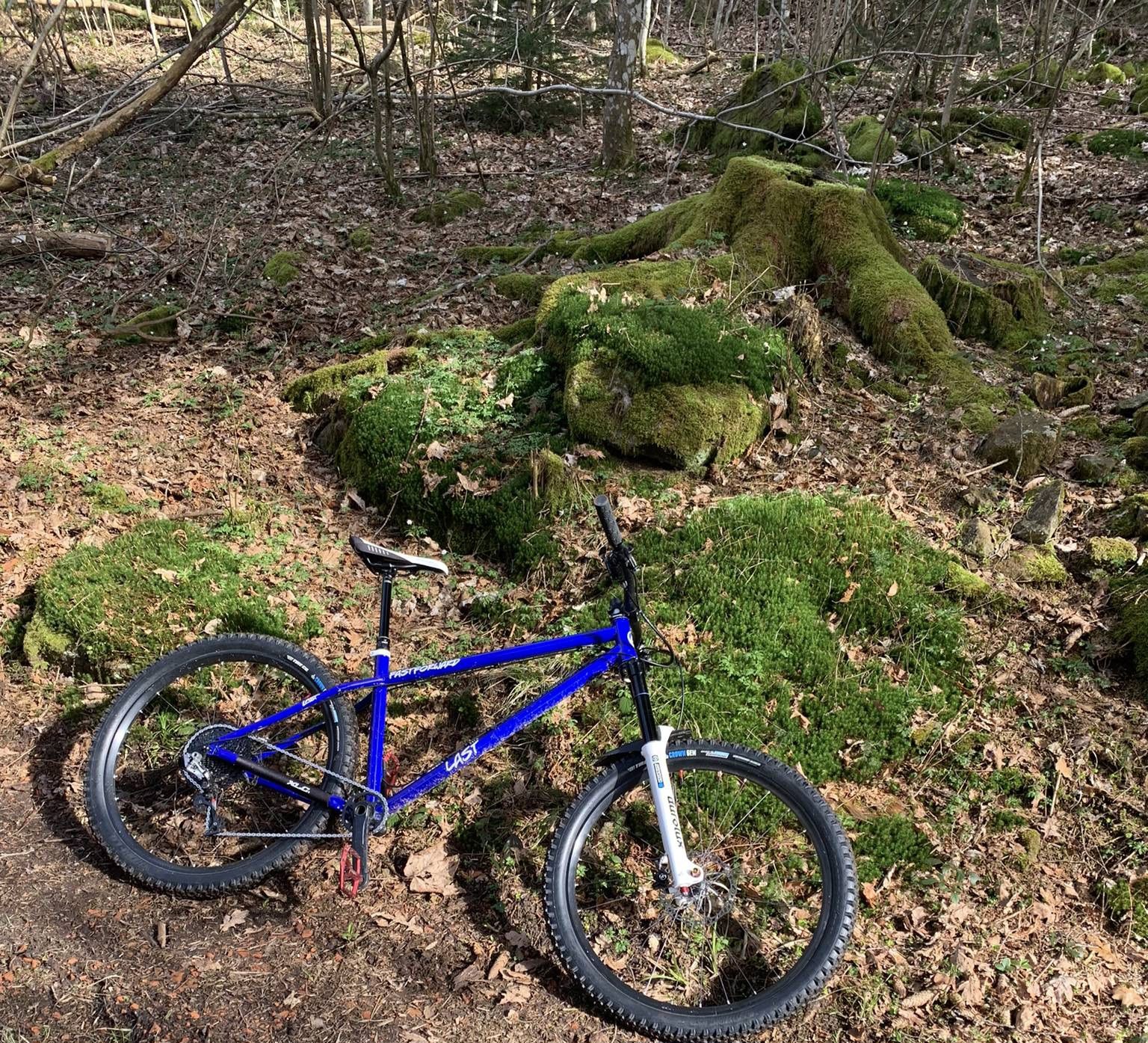 Zeigt her eure "FREERIDE HARDTAILS" - Teil 3 | Seite 988 | MTB-News.de ...