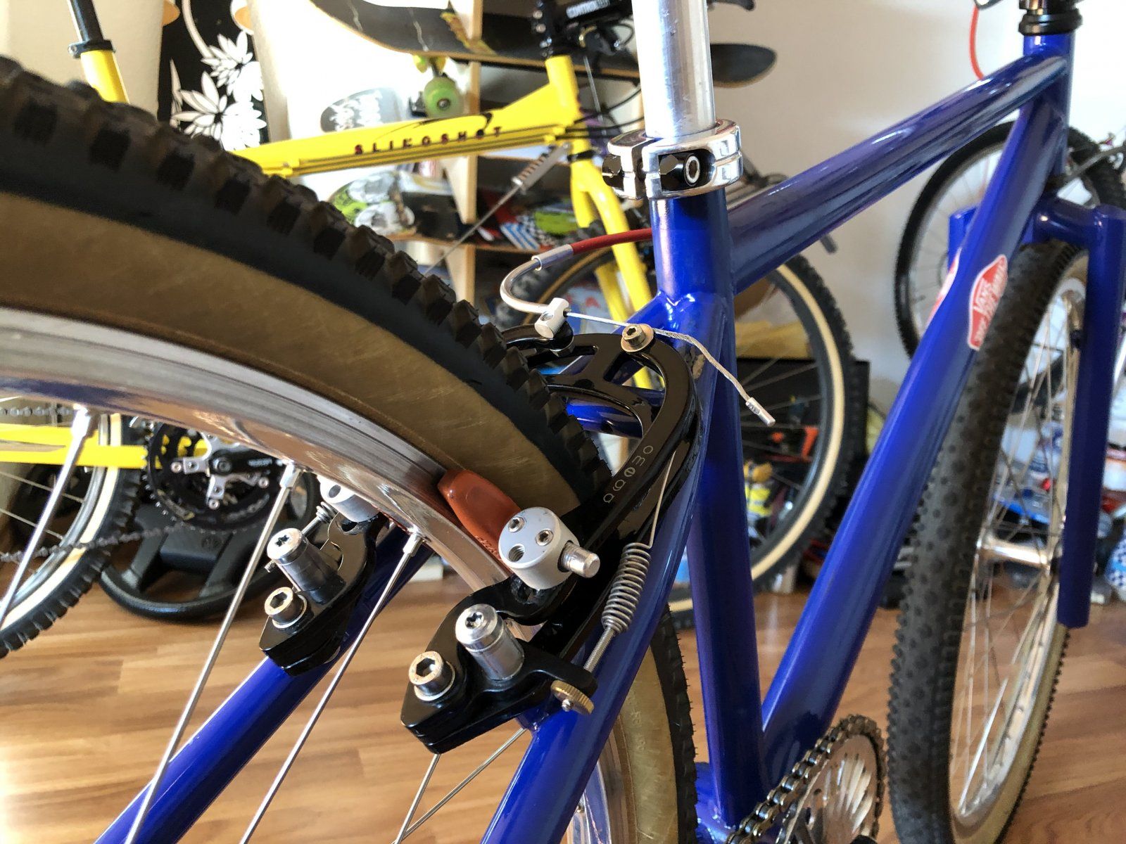 DAN (Sodomsky) / ED (Shannon) | MTB-News.de | IBC Mountainbike Forum