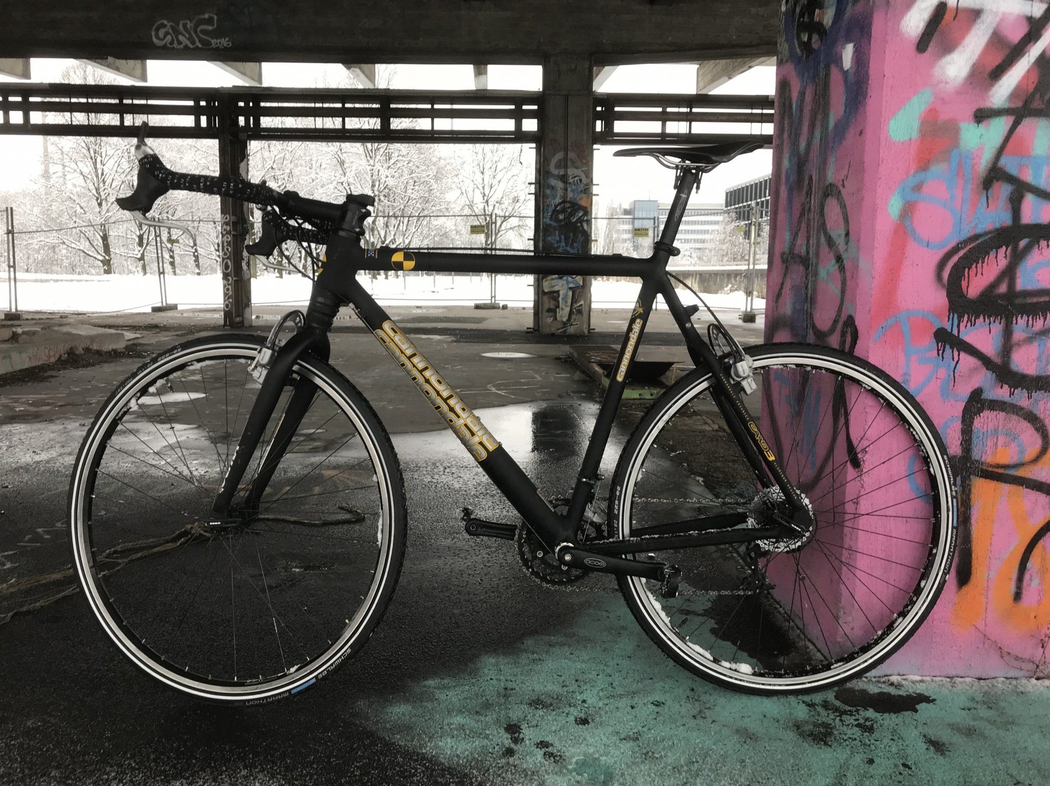 Wahl zum IBC YOUNGTIMER DES JAHRES 2017/18 - ODDBALL | MTB-News.de | IBC Mountainbike Forum