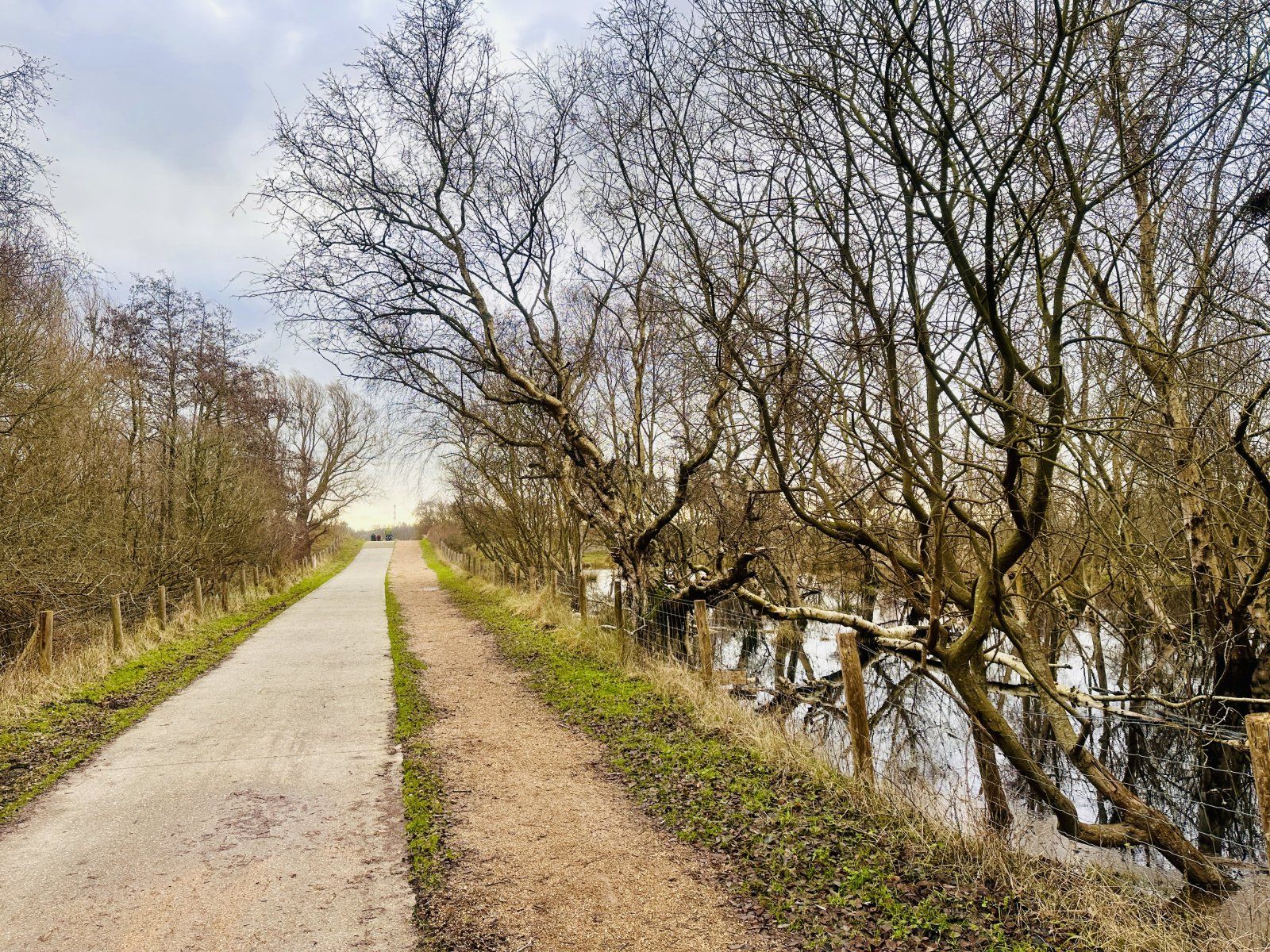 Der "ich war heute mit dem Gravelbike unterwegs" Thread | Seite 690 ...