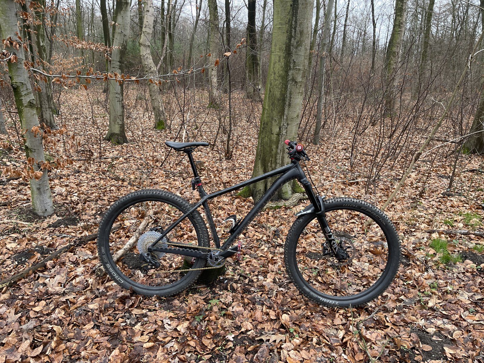 Dann geh ich mal unter die Eccentric(er) | Seite 2 | MTB-News.de | IBC ...