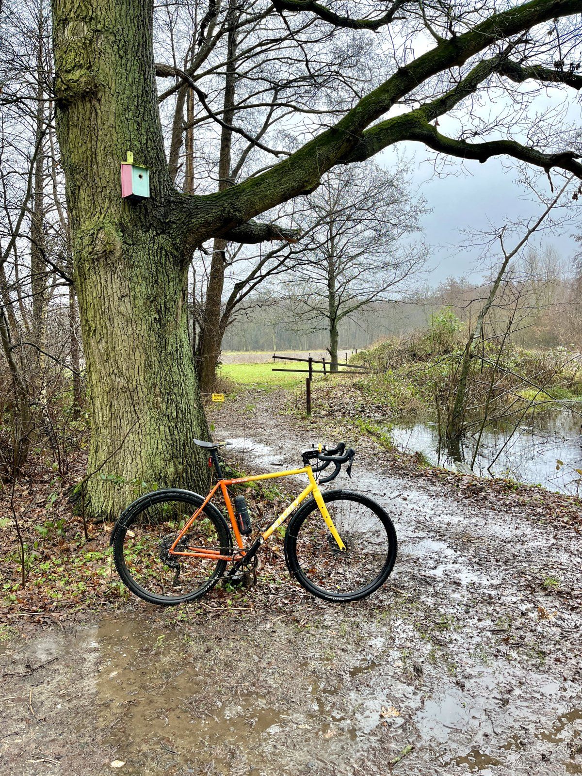 Crust Florida Man - Ein Traum geht seinen Weg! | Seite 26 | MTB-News.de ...