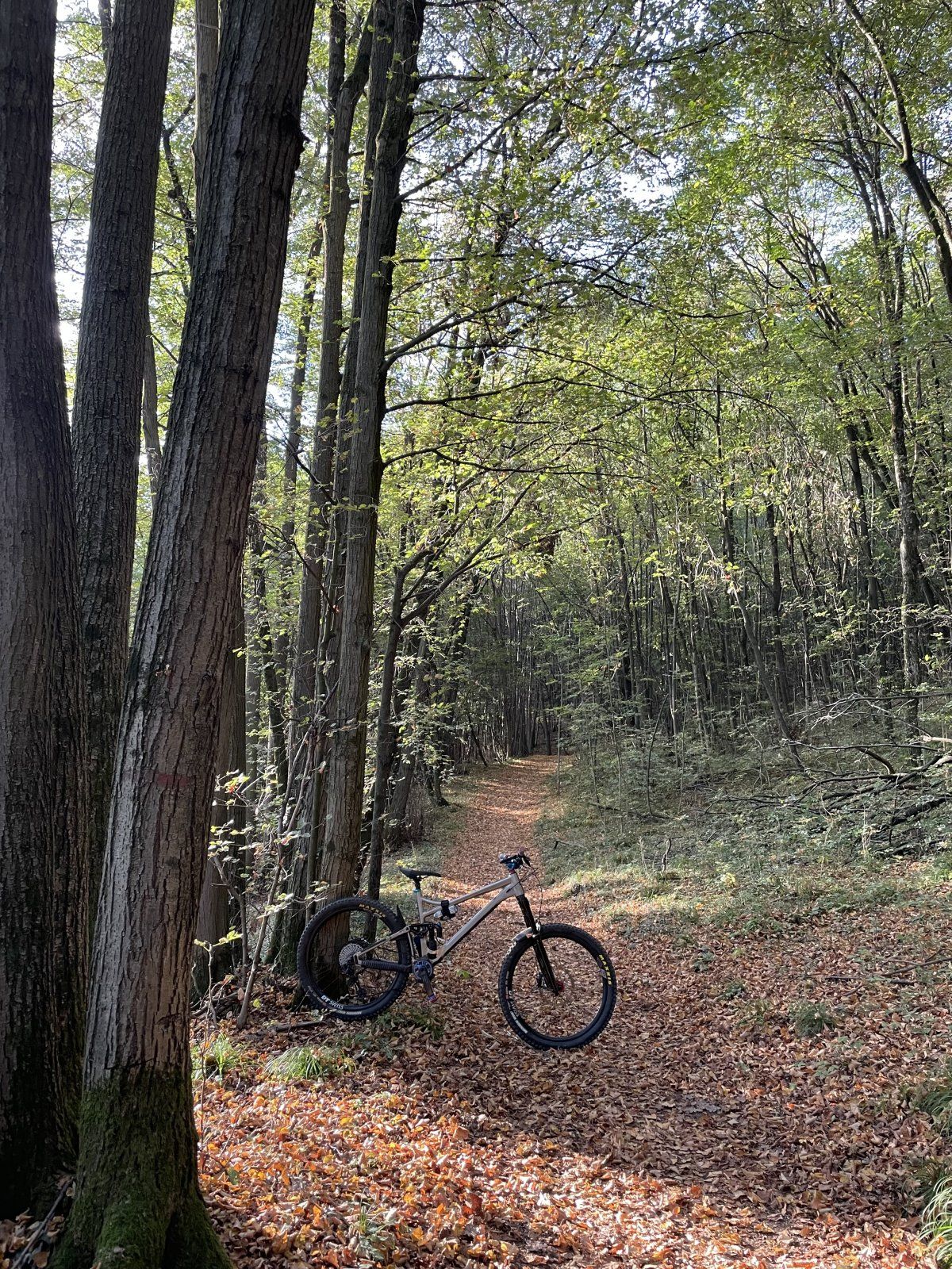 die „mit dem Enduro auf Tour“ Galerie | MTB-News.de | IBC Mountainbike ...