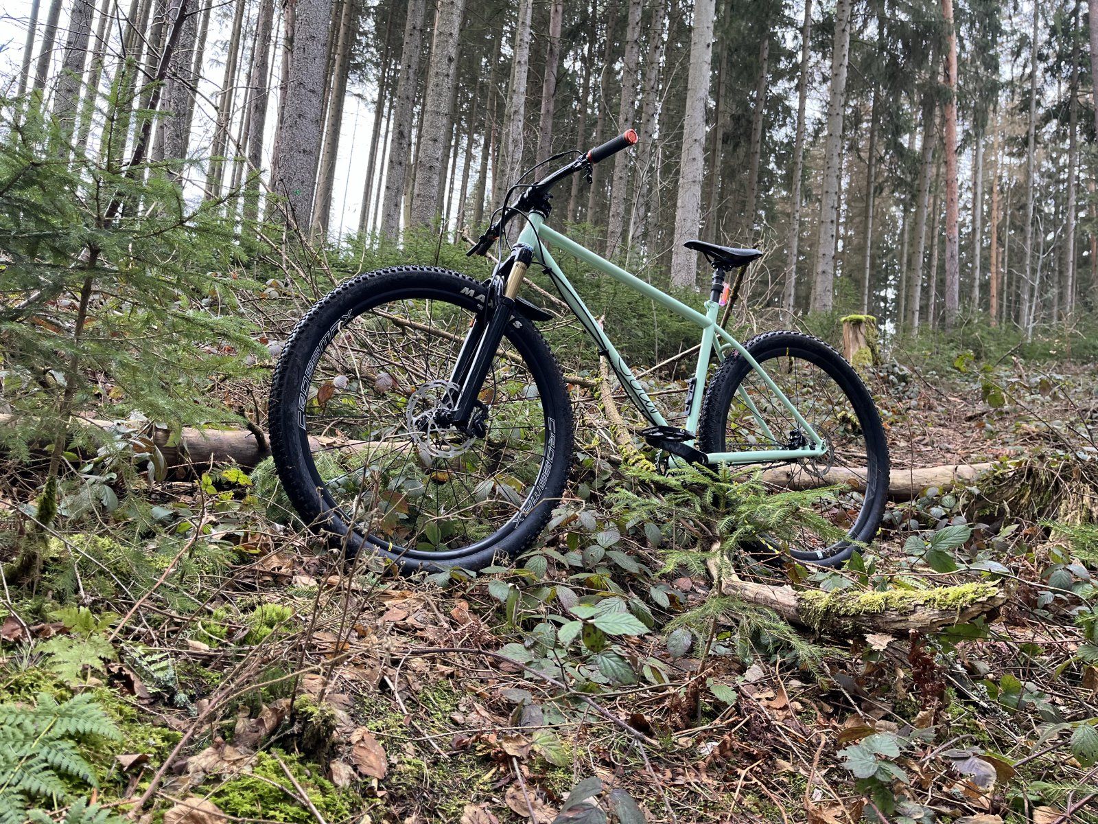 Galerie: Mit dem 29er unterwegs | Seite 1247 | MTB-News.de | IBC ...